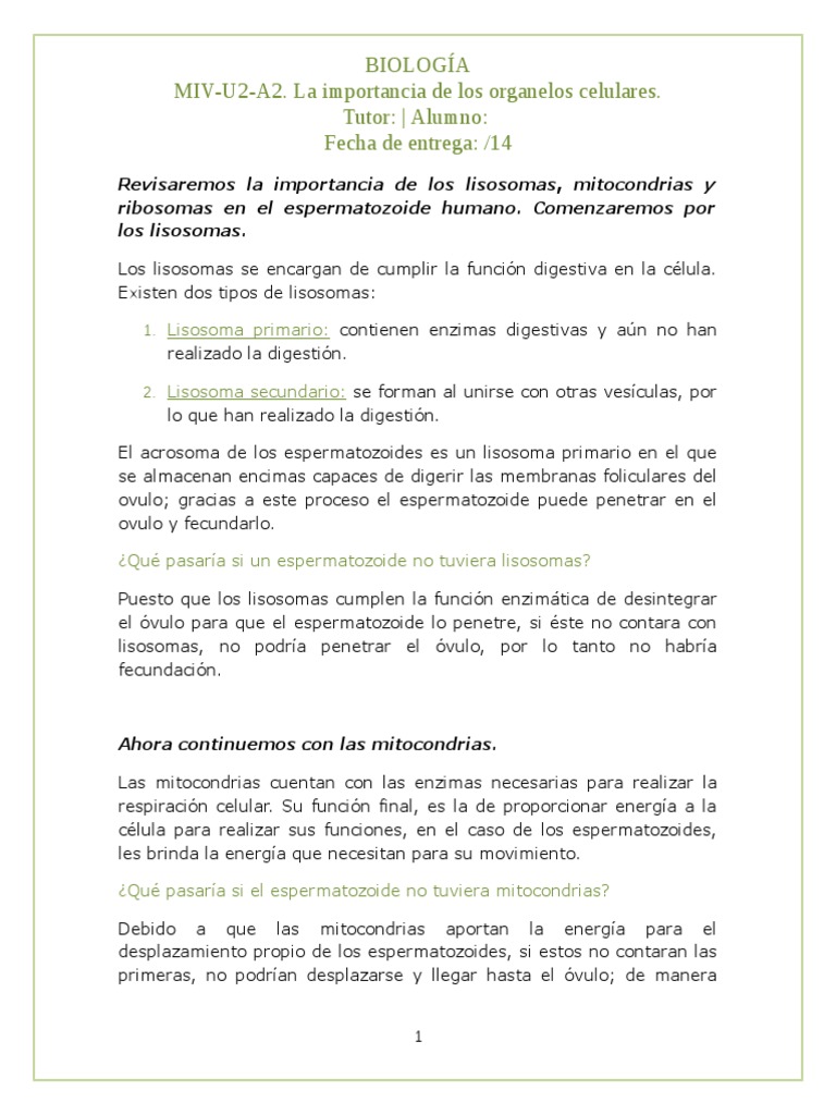 MIV-U2-A2. La Importancia de Los Organelos Celulares. | PDF | Lisosoma | Biología Celular)