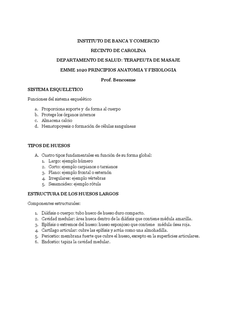 Repaso Del Sistema Esqueletico Pdf Articulación Hueso