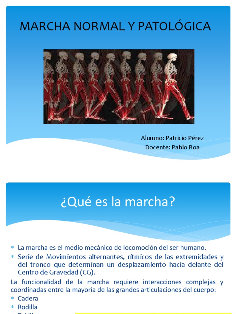Marcha Humana | PDF | Pie | Rodilla
