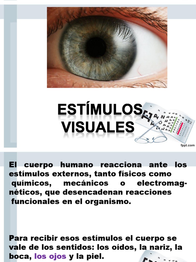 Estimulo Visual | Percepción visual | Ojo