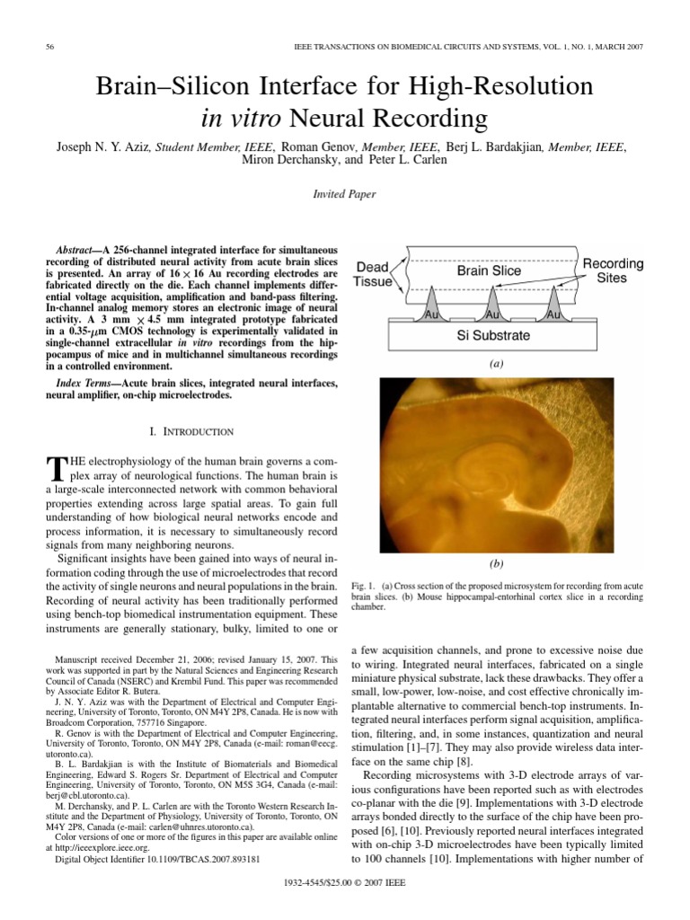 Brainchip Review Paper | PDF | Capacitor | Mosfet