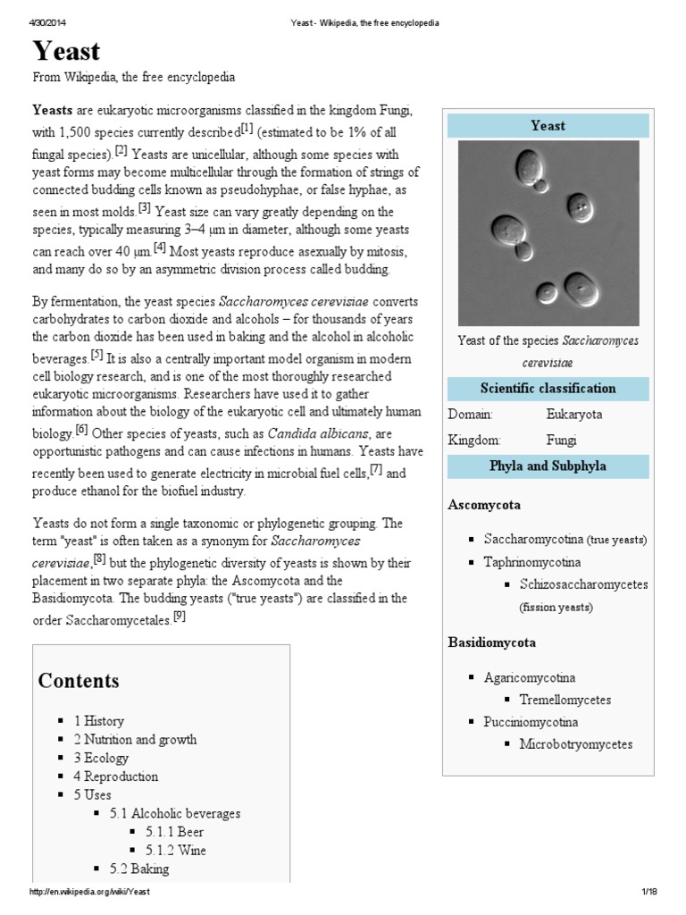 Overview of Yeast Species and Uses | PDF