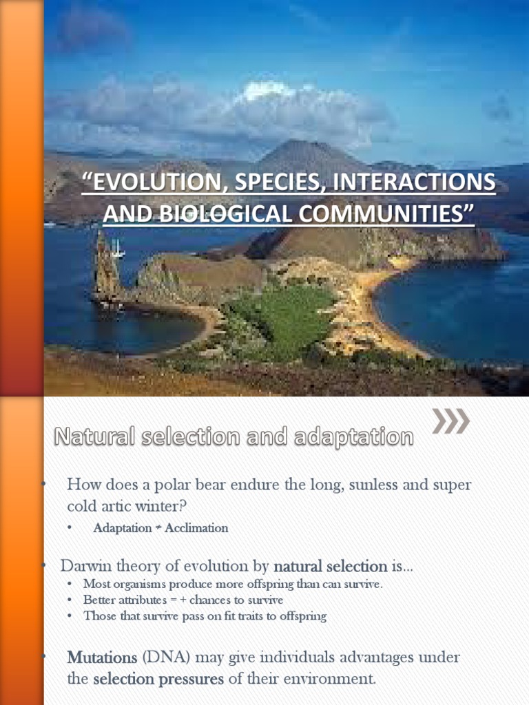 Evolution, Species, Interactions and Biological Communities | PDF