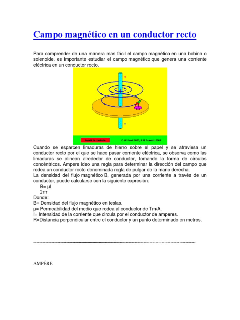 Campo Magnético en Un Conductor Recto