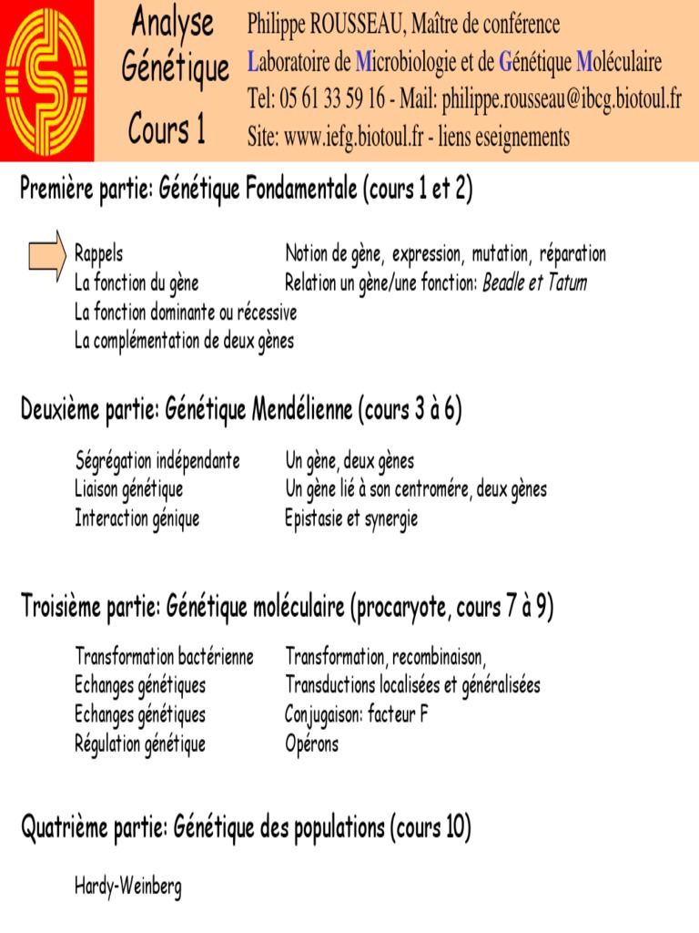 Cours de Génétique Fondamentale L2 | PDF | Méiose | Recombinaison génétique