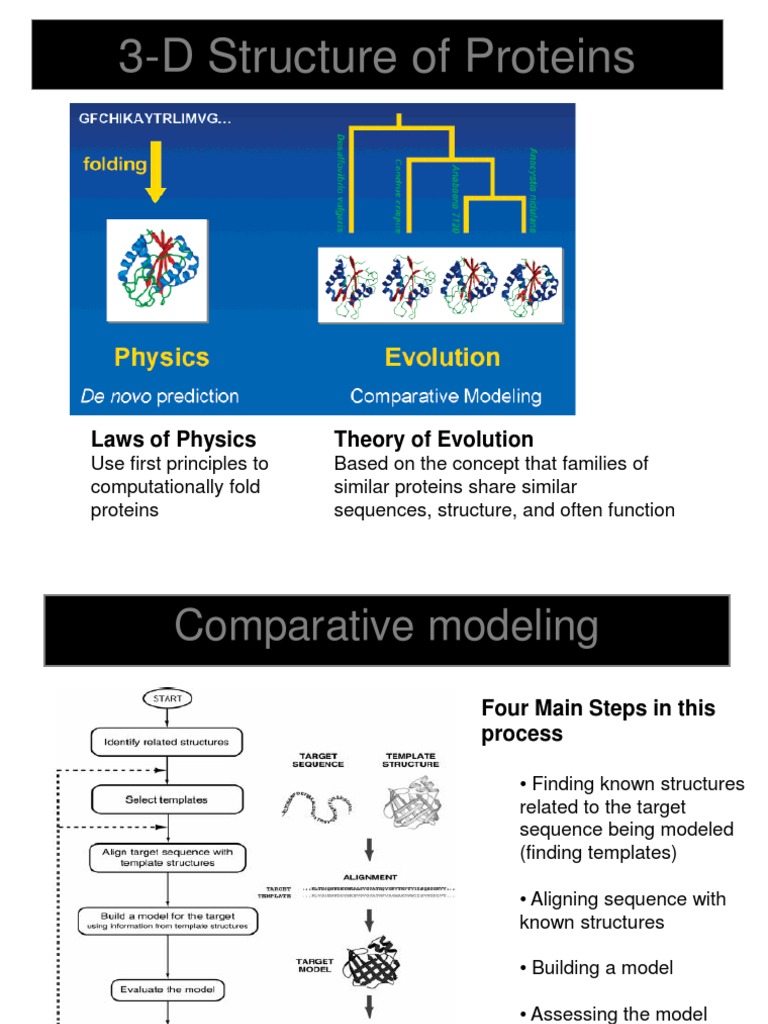 3-D Structure of Proteins: Laws of Physics Theory of Evolution | PDF ...
