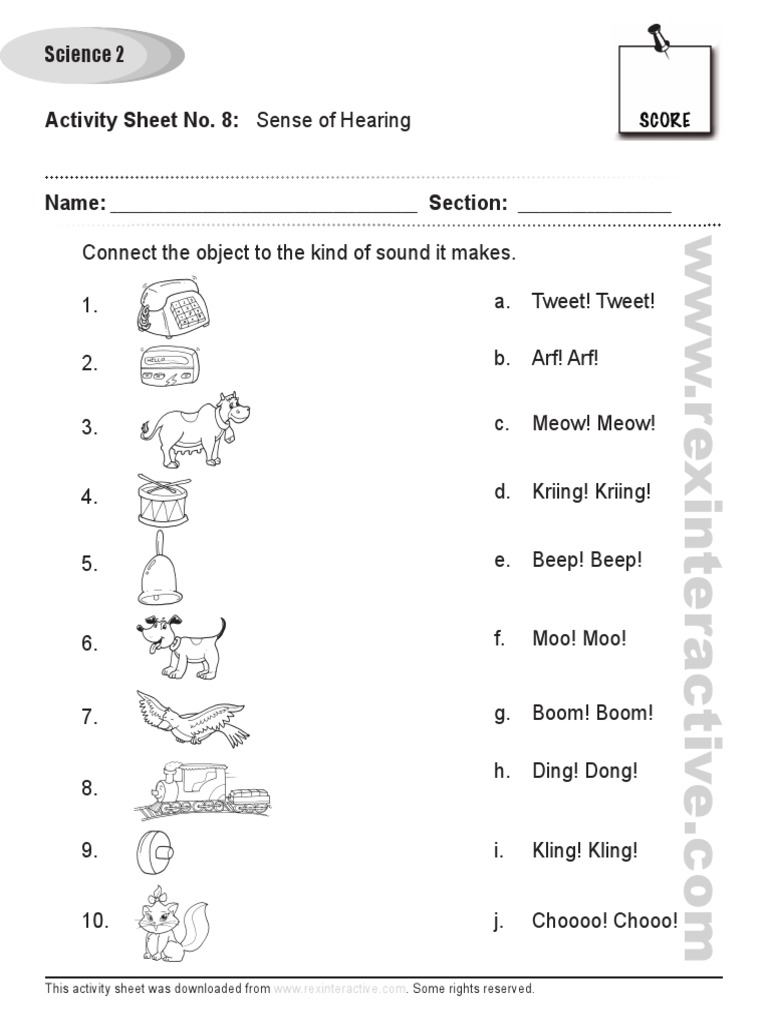 Sense of Hearing Activity Sheet | PDF