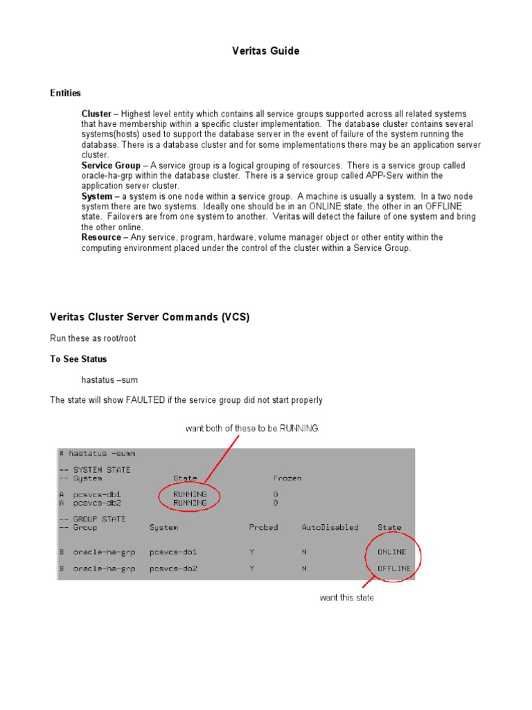 Veritas Guide | PDF | Computer Cluster | Online And Offline