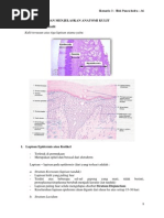 Struktur dan Fungsi Kulit Manusia | PDF