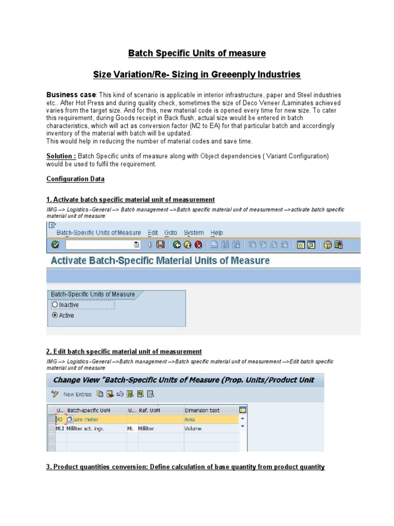 Batch Specific Units of Masure | PDF | Units Of Measurement | Business