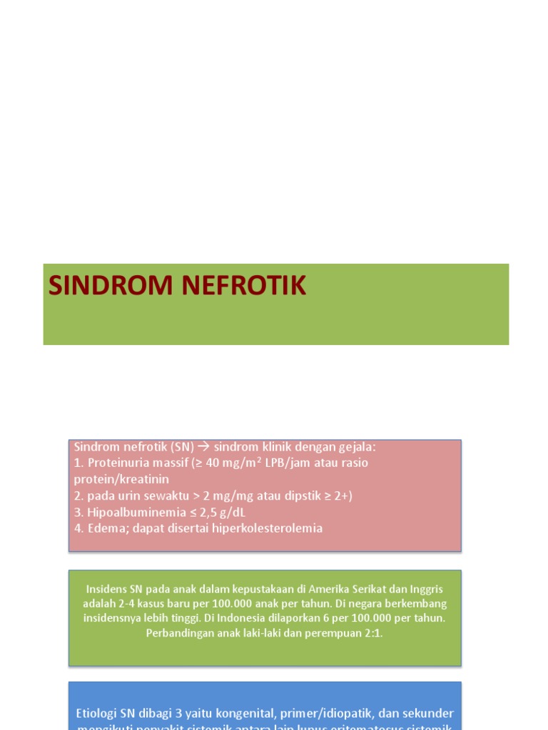 DD 1-Urogenital (Sindrom Nefrotik) | PDF