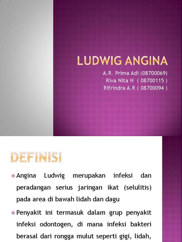 Ludwig Angina Adi | PDF | Kajian Bahasa Asing