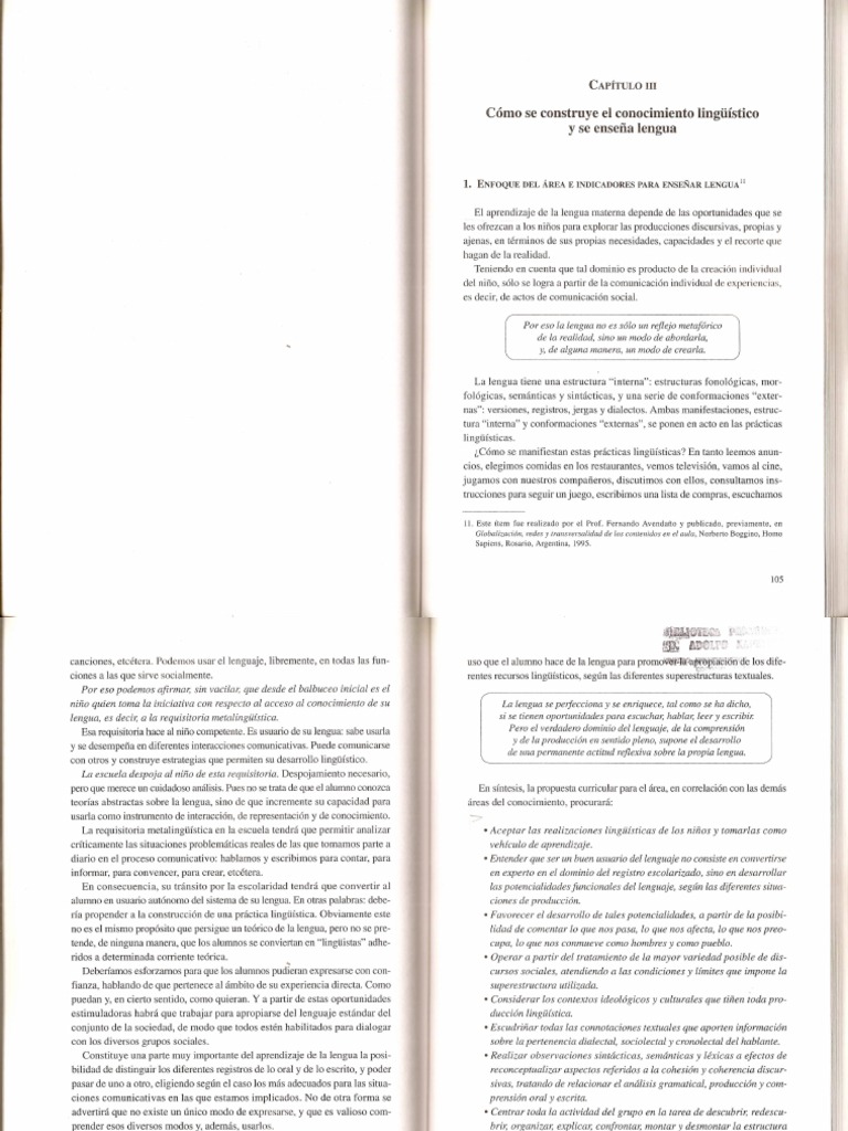 Boggino-El Constructivismo Entra Al Aula-Cap3 | PDF | Escritura | Palabra