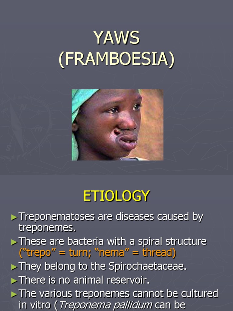 Yaws Uph | PDF | Clinical Medicine | Microbiology