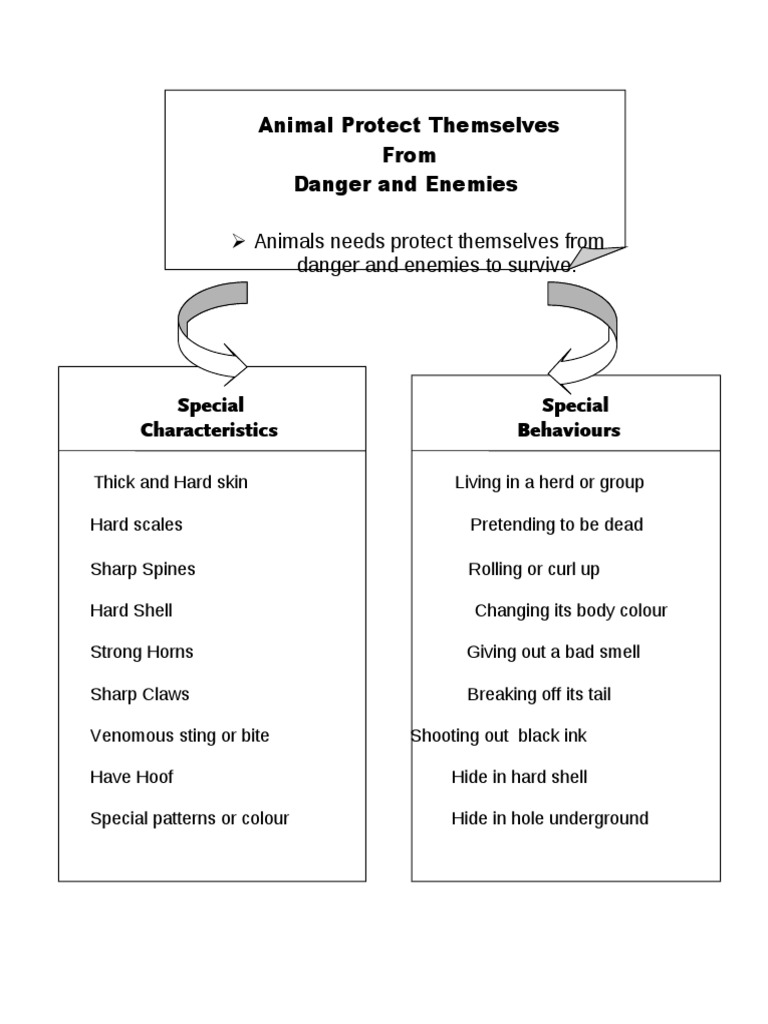 Animal Protect Themselves Folio Thanis 1 | PDF | Venom | Nature