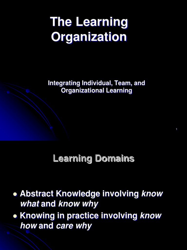 The Learning Organization: Integrating Individual, Team, and ...