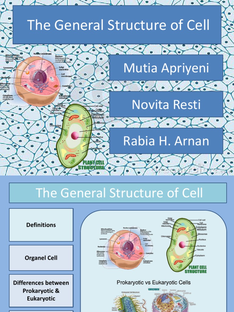 Cell Structure: Prokaryotic vs Eukaryotic | PDF | Organelle | Cell ...