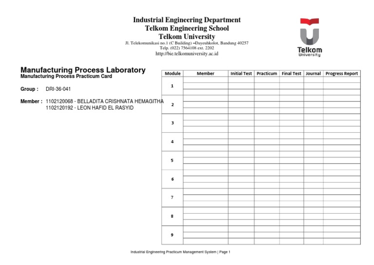 Prosman Lab Practicum Overview | PDF