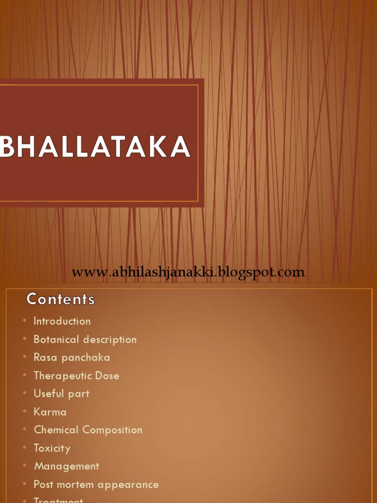 Bhallataka (Semicarpus Anacardium) | PDF | Fruit | Plants