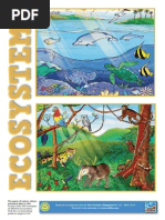 Hidden Figures Worksheet - Printme | PDF