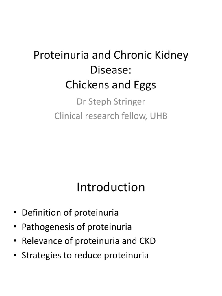Proteinuria and Chronic Kidney Disease | PDF | Renal Function | Chronic ...