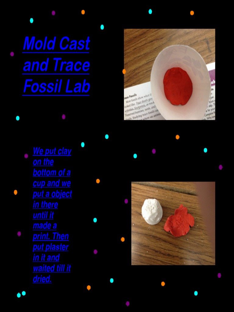 Fossil Lab for Young Scientists | PDF | Young Adult