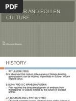 Blotter Test Method | PDF | Seed | Germination