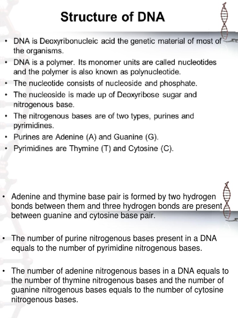 dna assignment 2 ppt | Dna Replication | Dna
