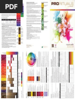 Wella Color Touch Application Guide | PDF | Brown | Color