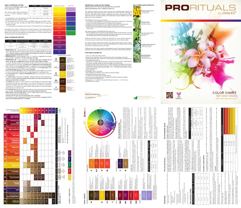 ProRituals Color Chart | PDF | Grey | Brown
