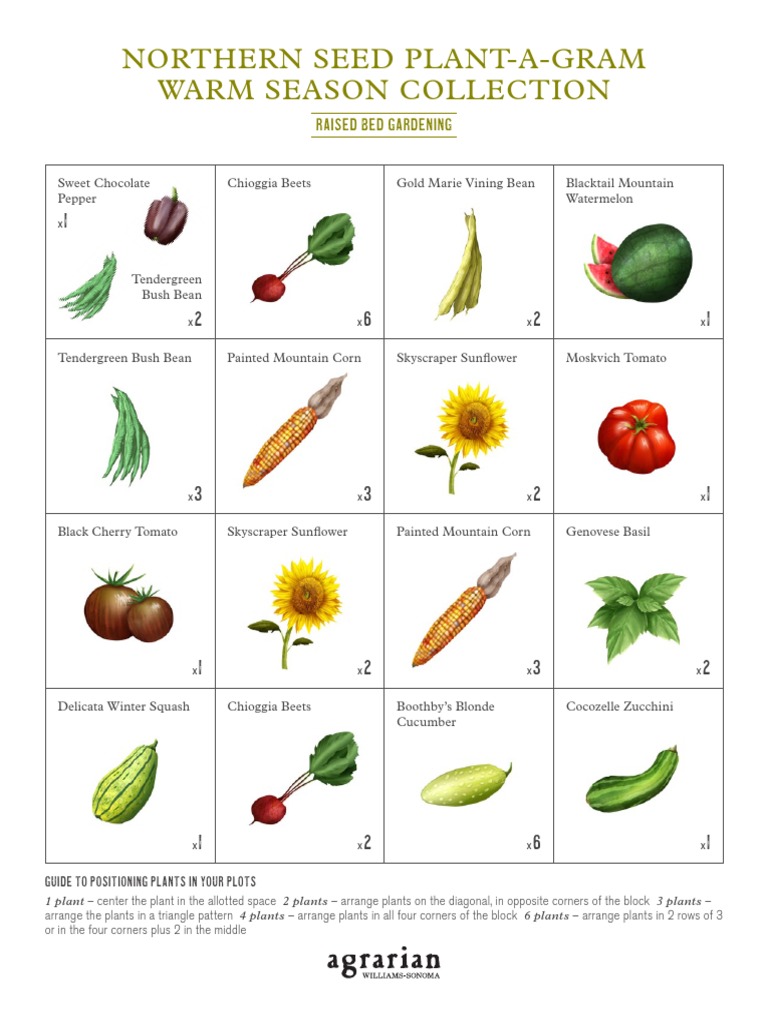 Warm Season Plant Positioning Guide | PDF