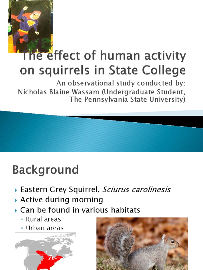 An Observational Study Conducted By: Nicholas Blaine Wassam ...