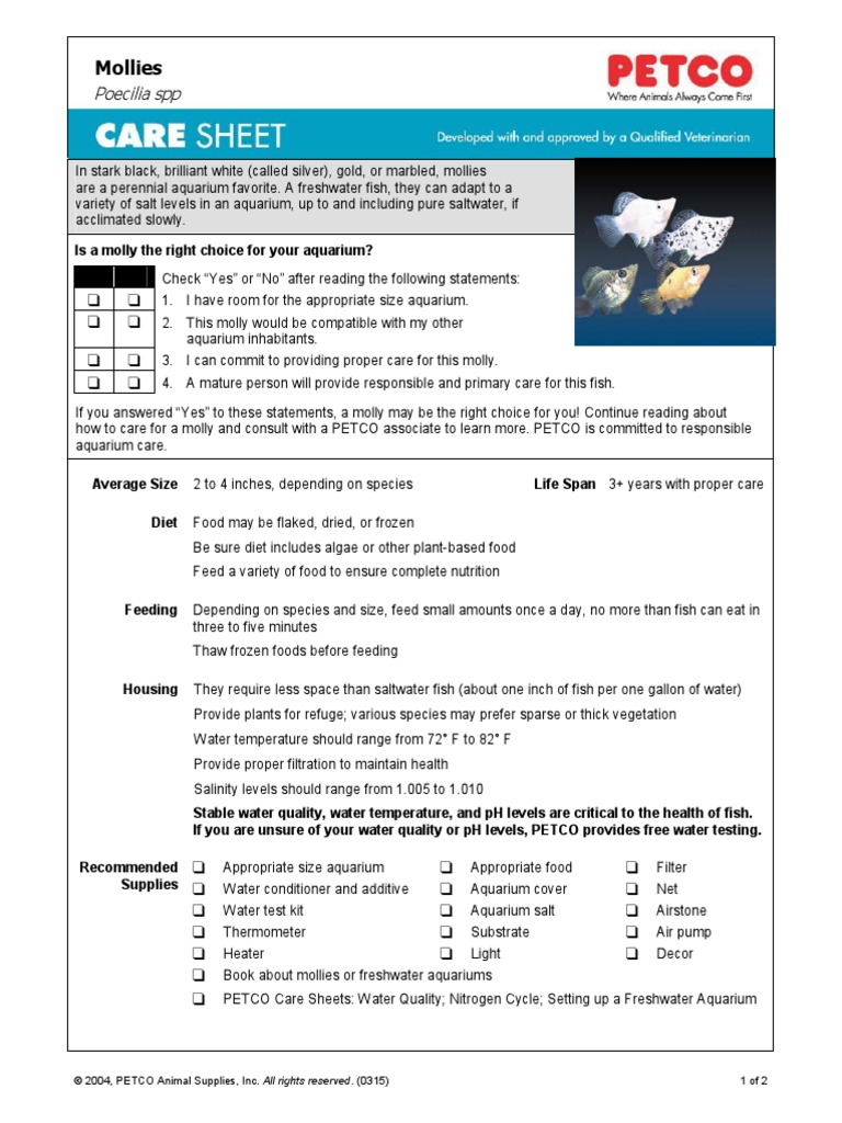 Petco Fish Compatibility Chart