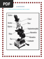 Normas para El Uso Correcto Del Microscopio Óptico | PDF