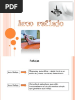 Esquema Arco Reflejo | PDF