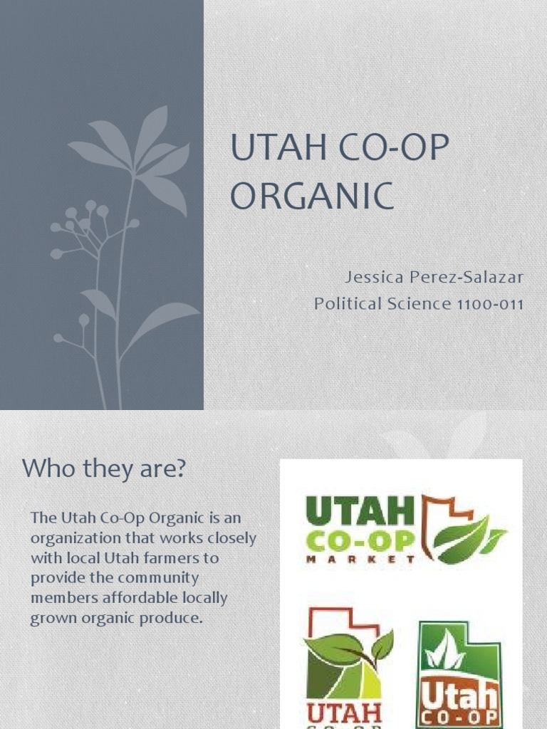 Pols 1100-011 Final Powerpoint Presentation | PDF