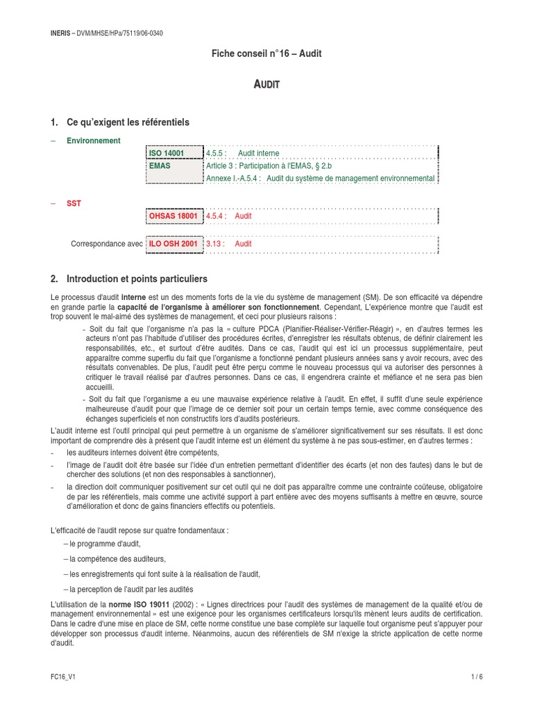 Audit Fiche conseil.pdf | Audit | Management de la qualité