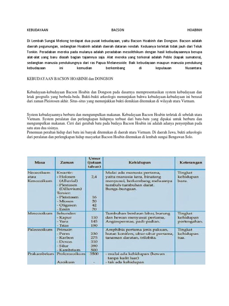 Kebudayaan Bacson Hoabinh | PDF
