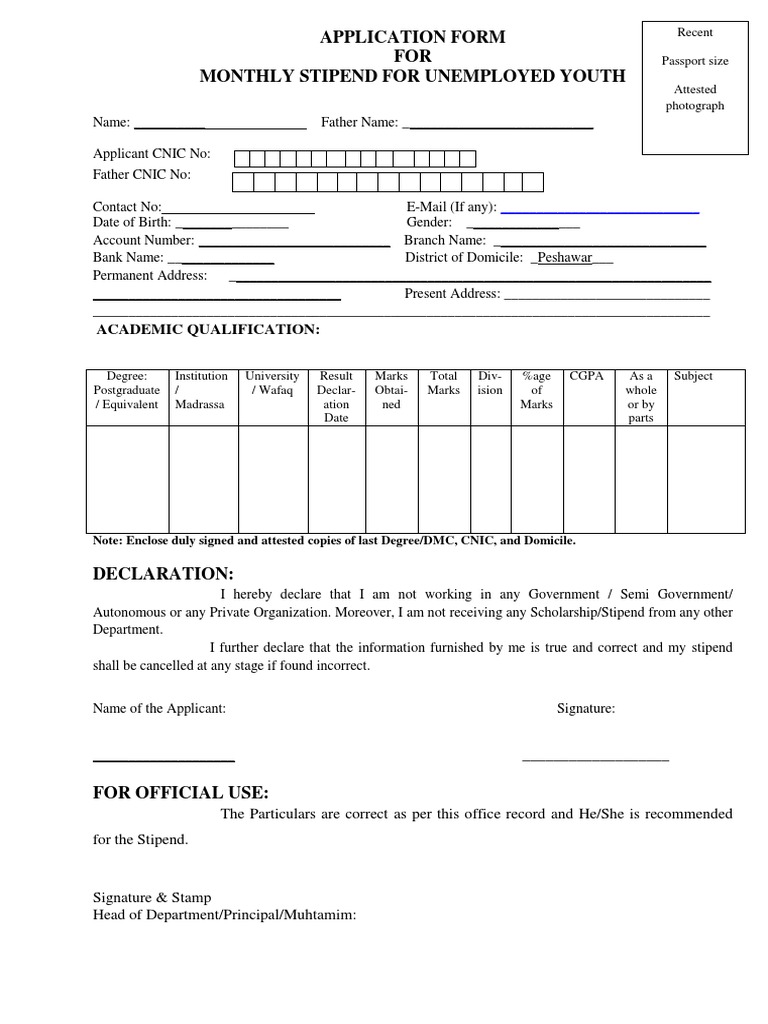 Application Form FOR Monthly Stipend For Unemployed Youth: Academic ...