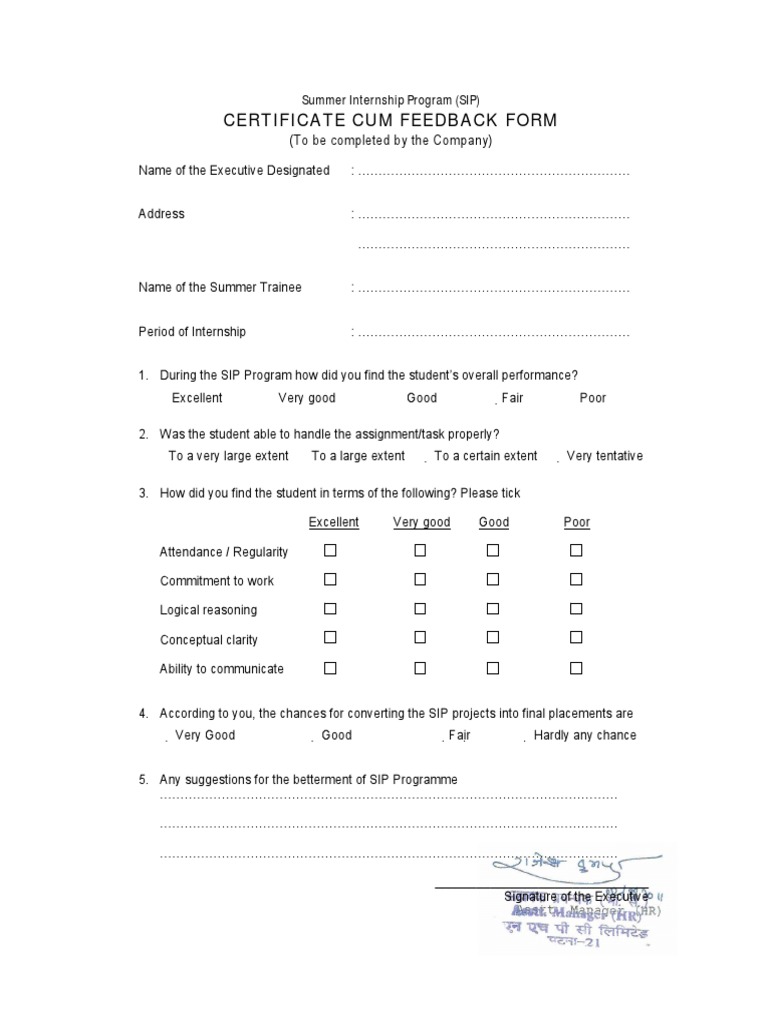 Summer Internship Program Evaluation and Feedback Form | PDF