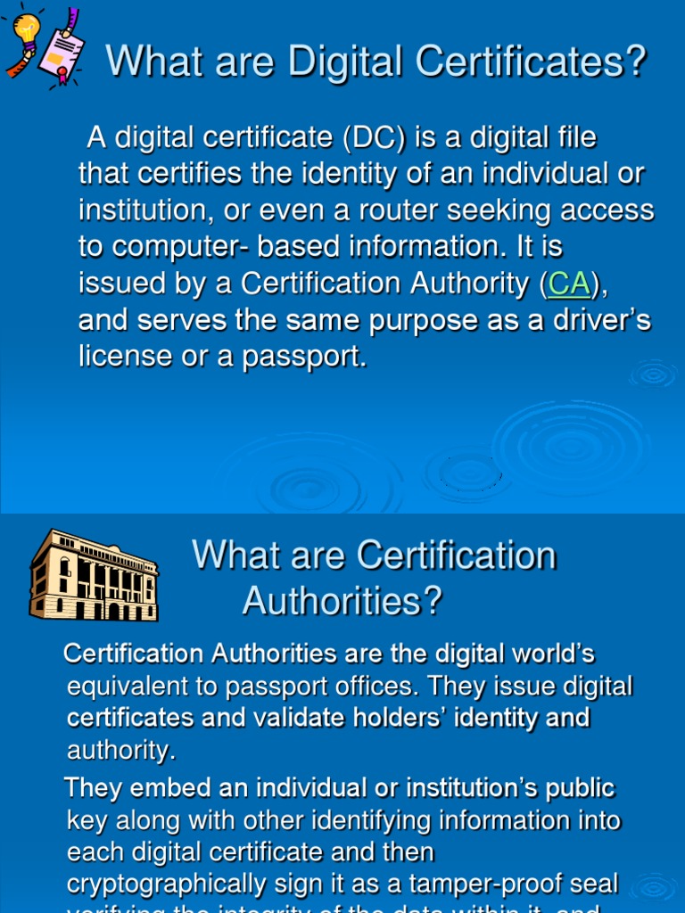 Digital Certificate... | PDF | Public Key Cryptography | Key (Cryptography)