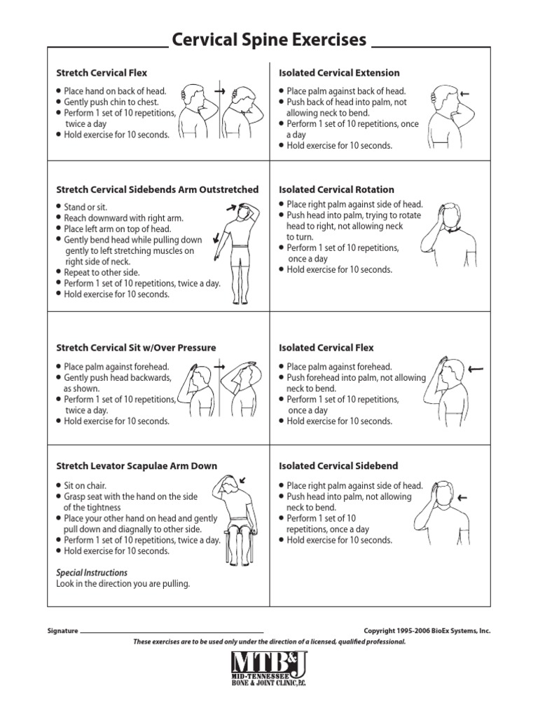 Cervical Spine Exercises: Stretch Cervical Flex Isolated Cervical ...