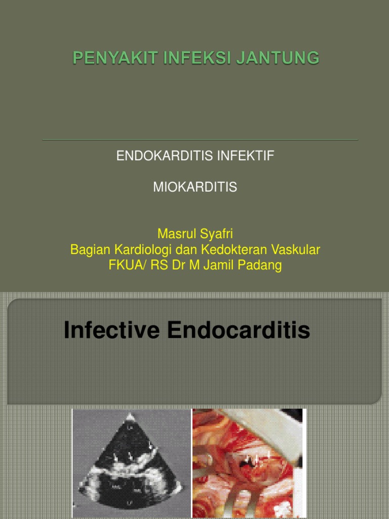 infektif endokarditis2 | Congenital Heart Defect | Platelet