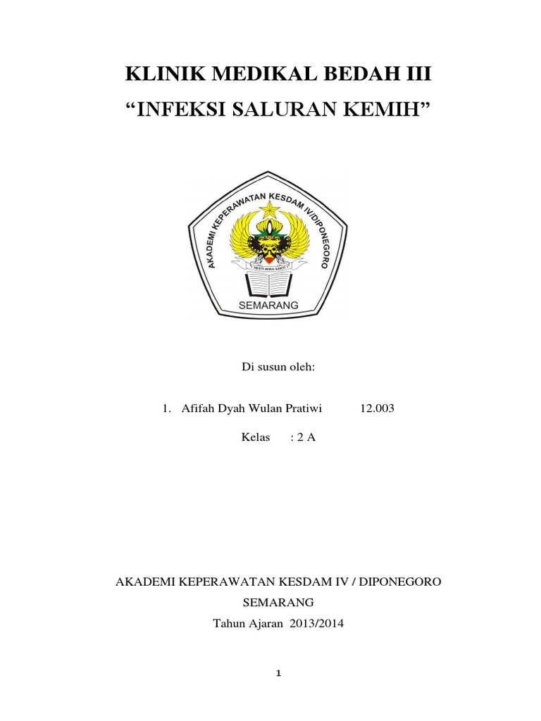 Panduan ISK untuk Mahasiswa Keperawatan | PDF