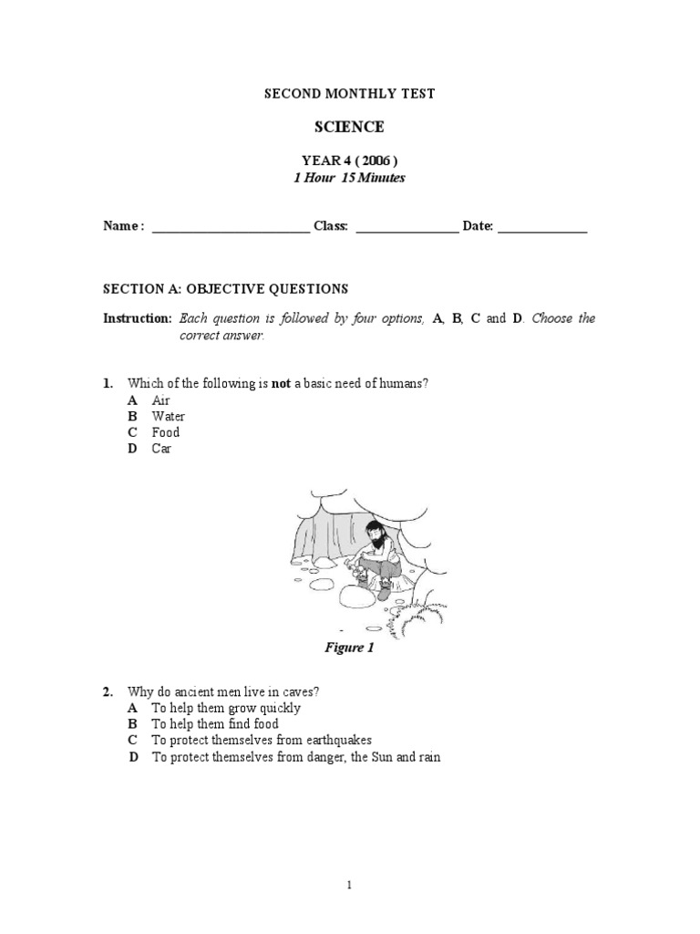 Science Year 4 | PDF | Nature
