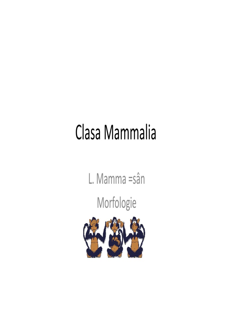 Clasa Mammalia | PDF