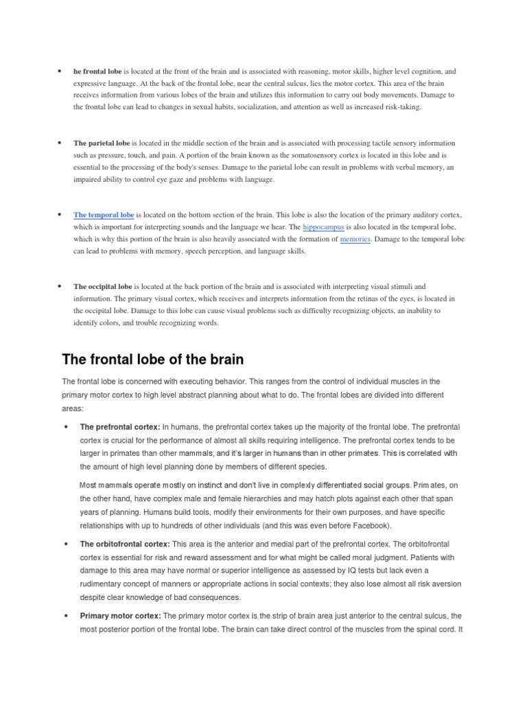 4 Lobes Function | PDF | Visual System | Parietal Lobe