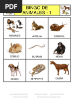 Bingo de Animales Fotos