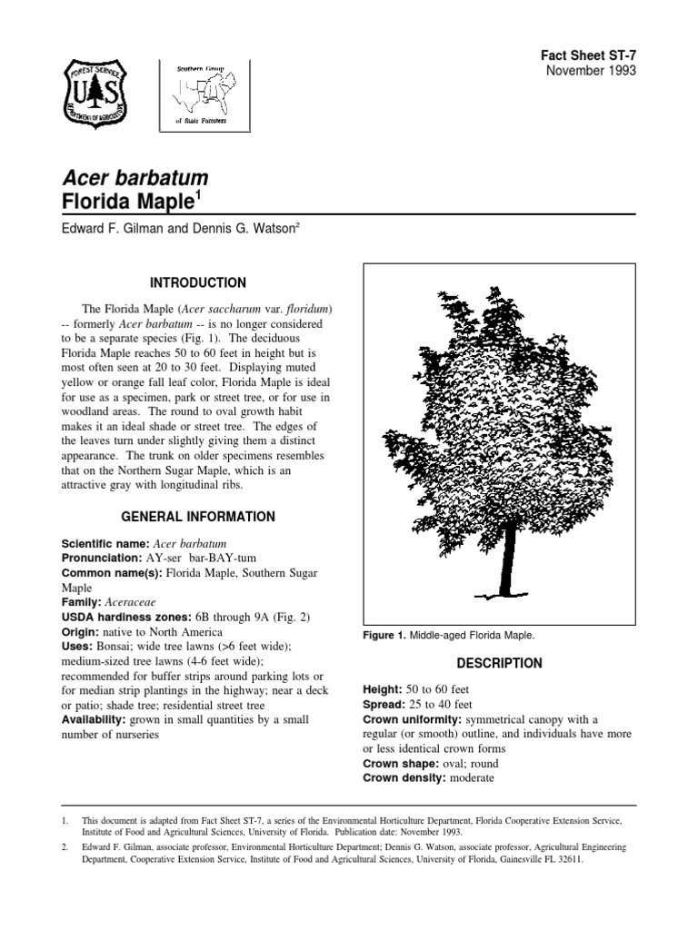 Acer Barbatum Florida Maple: Fact Sheet ST-7 | PDF | Maple | Trees