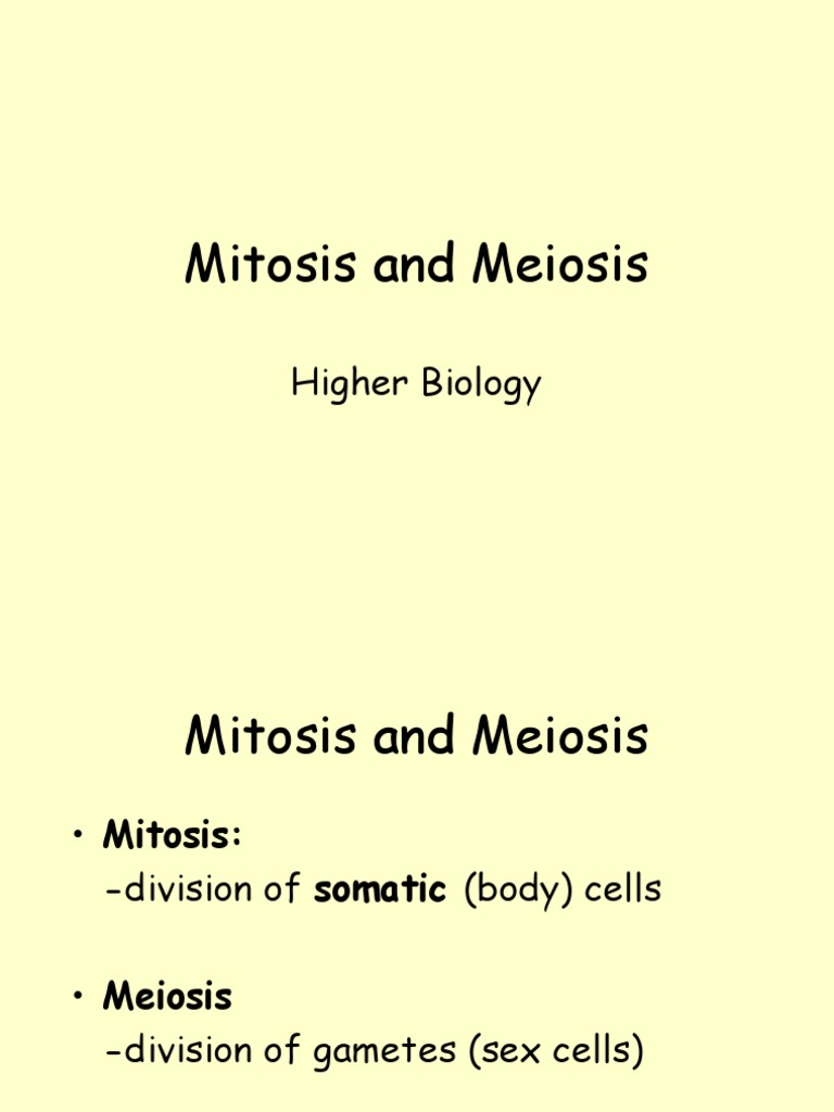 Mitosis vs Meiosis Explained | PDF | Social Science | Science & Mathematics